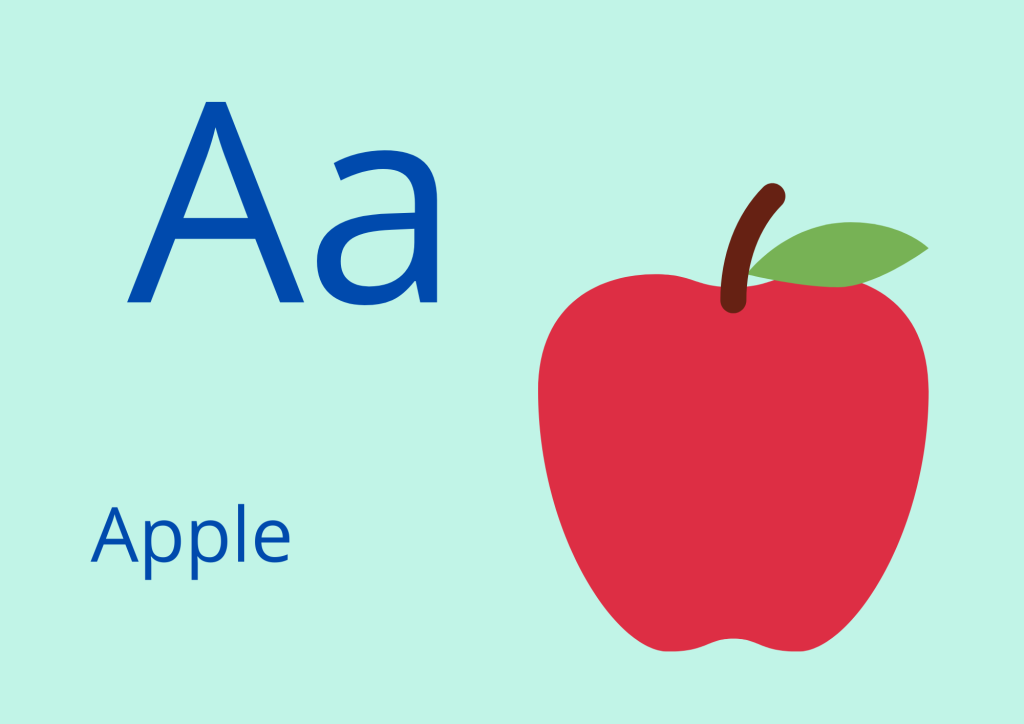 Learning the Alphabet Flashcards – Teachers Little Pet